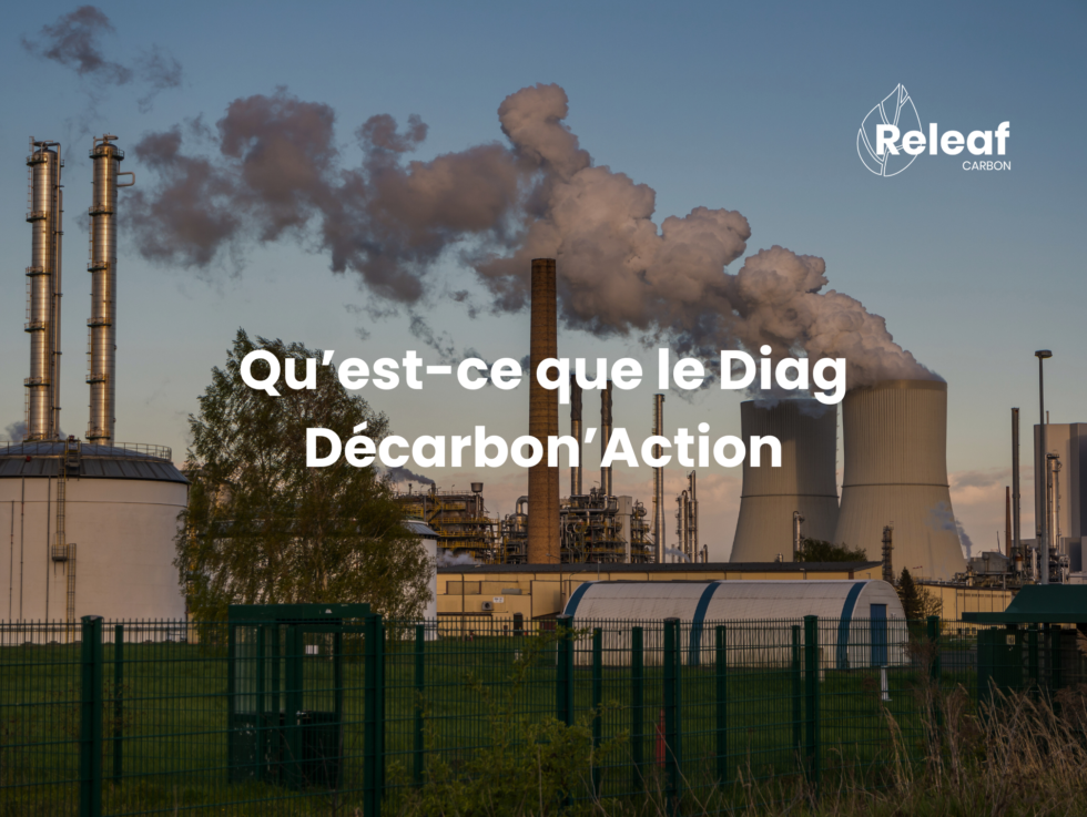 Bilan carbone – Releaf Carbon
