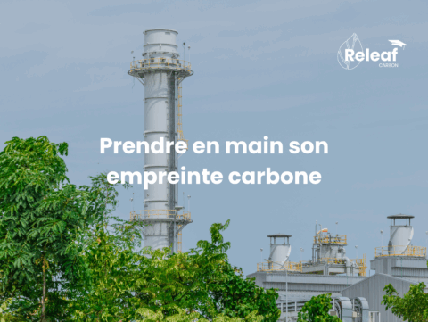Prendre en main votre empreinte carbone – Releaf Carbon